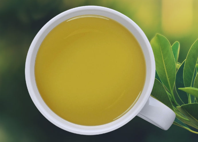 Japanese Tea – Japanese Green Tea Shops